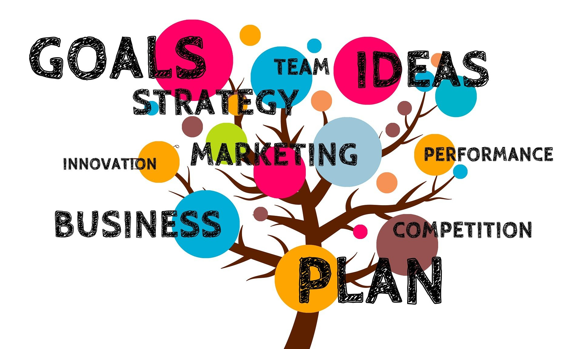 New Business Development - Business Navigator Publishing